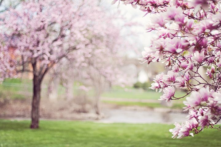 Le printemps est-il symbole de renouveau, de joie, d’épanouissement