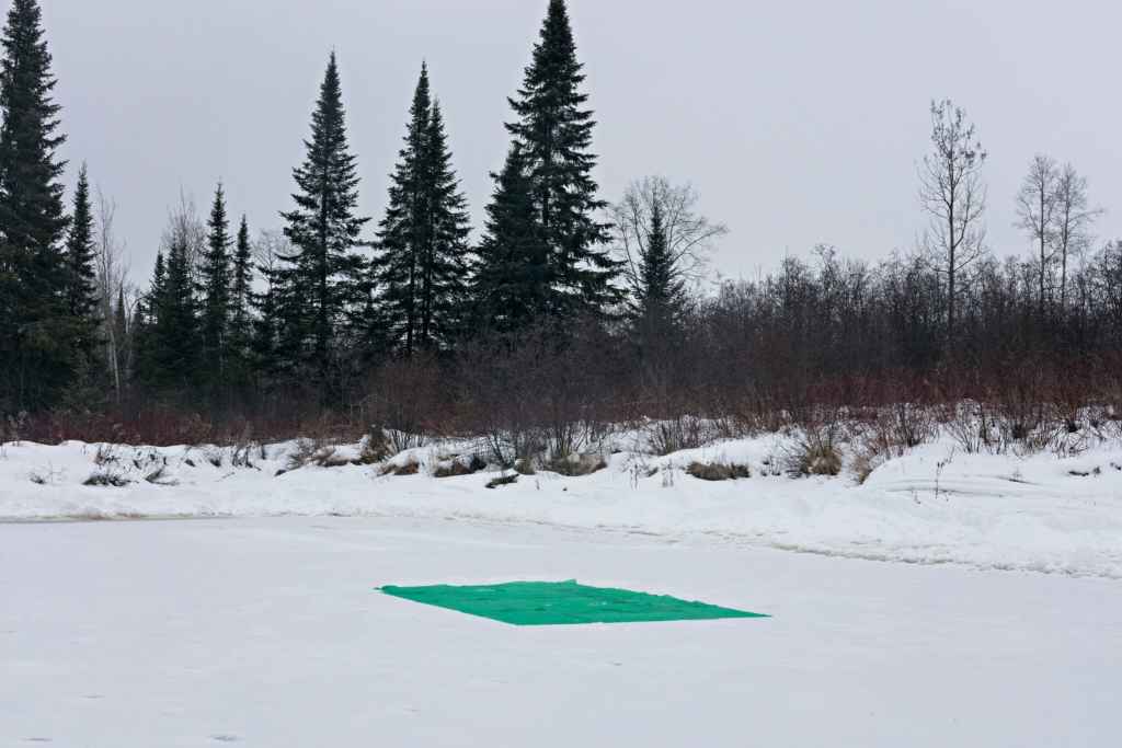 L’identité queer dans l'objectif d'Alexander Rondeau