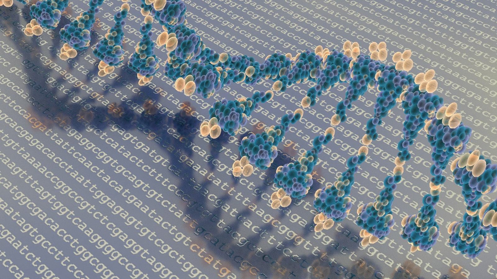 Le gène le plus populaire du monde