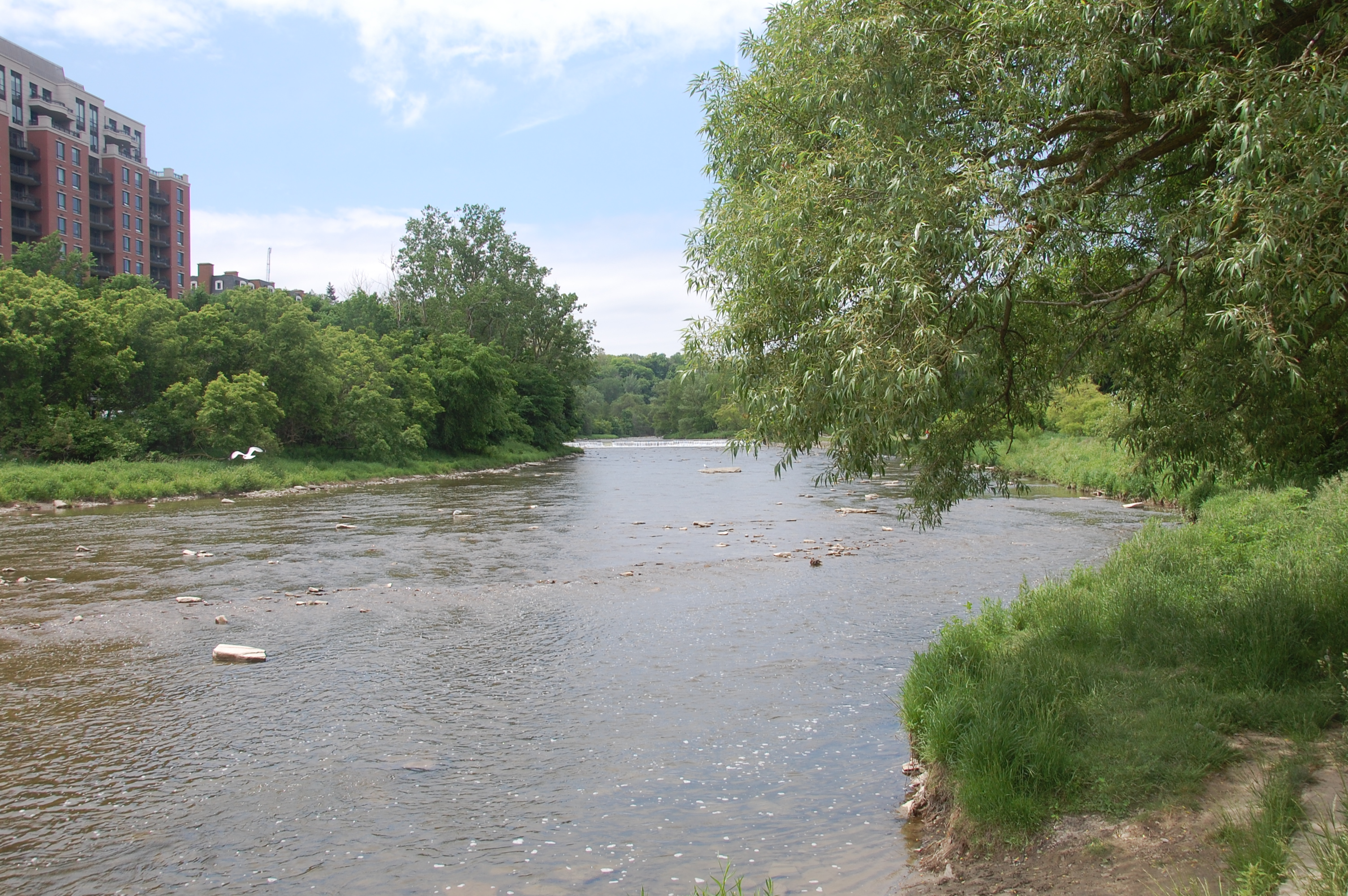 Longer la rivière Humber pour remonter le temps