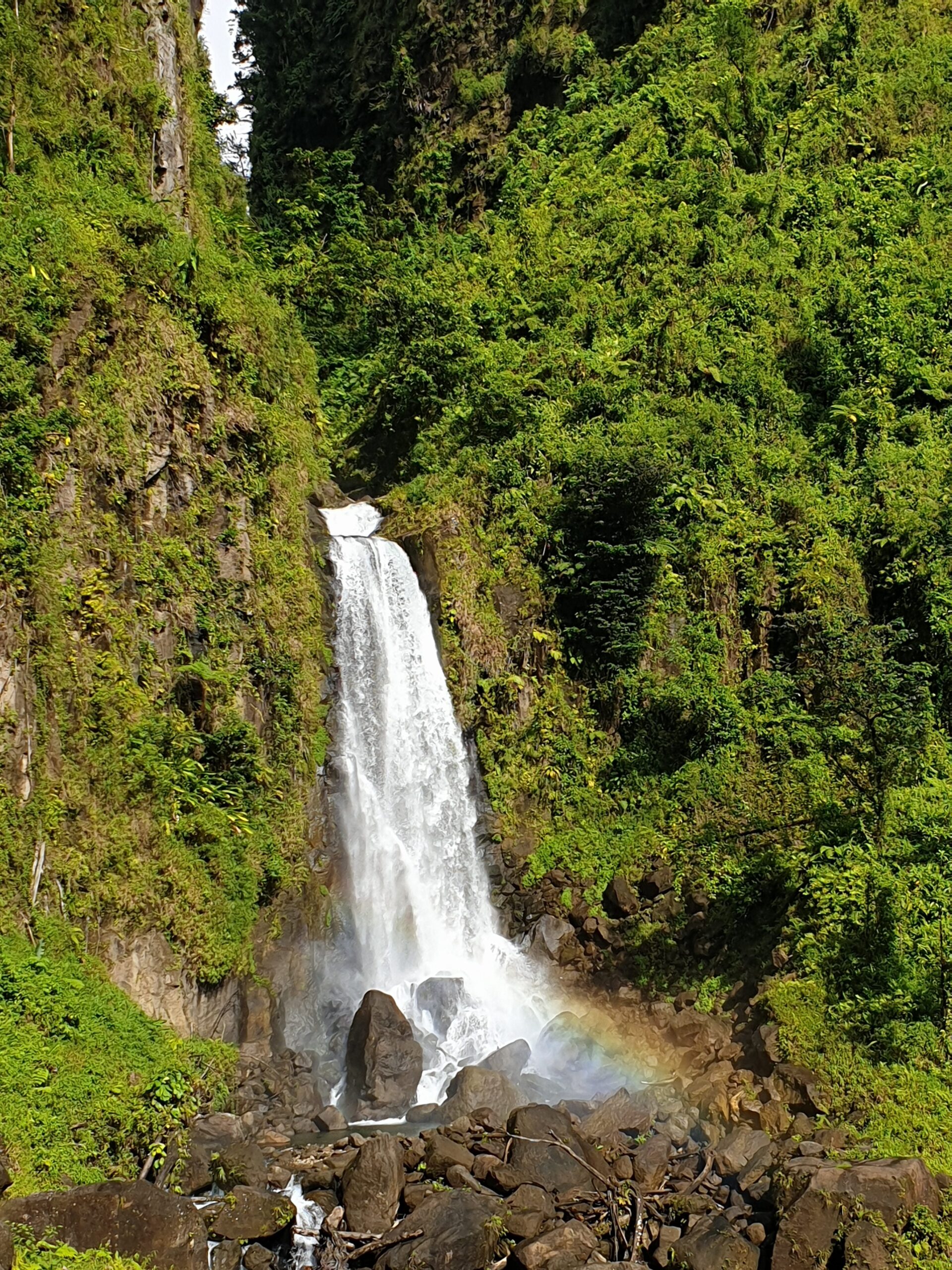 La Dominique : un paradis pour les amoureux de la nature