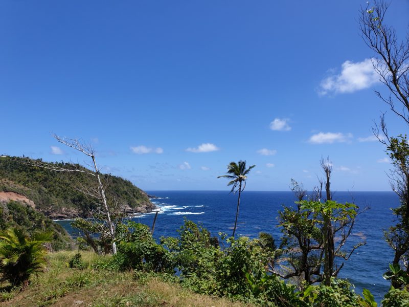 La Dominique : un paradis pour les amoureux de la nature