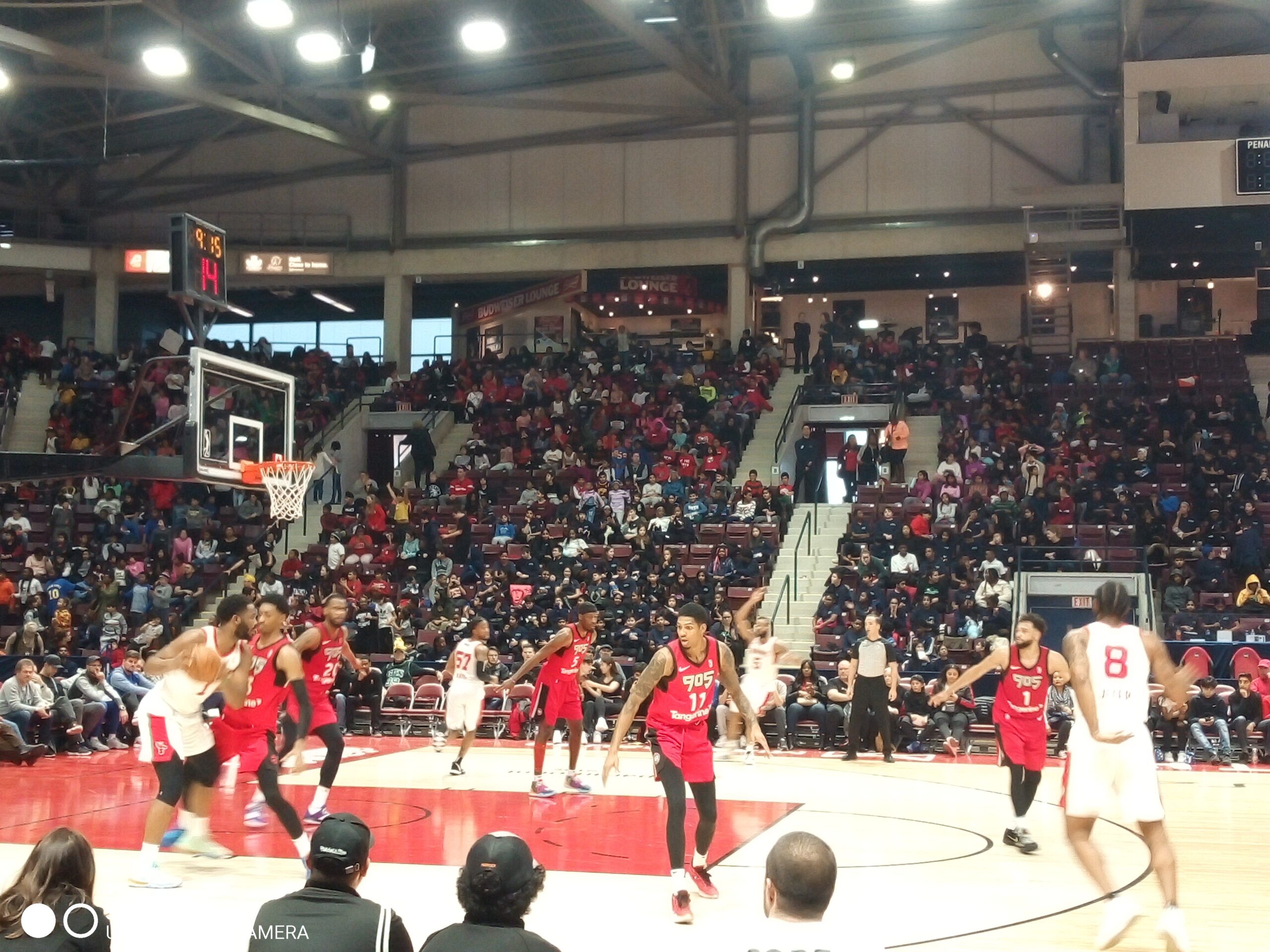 Les Raptors 905 chutent à nouveaux contre les Red Claws