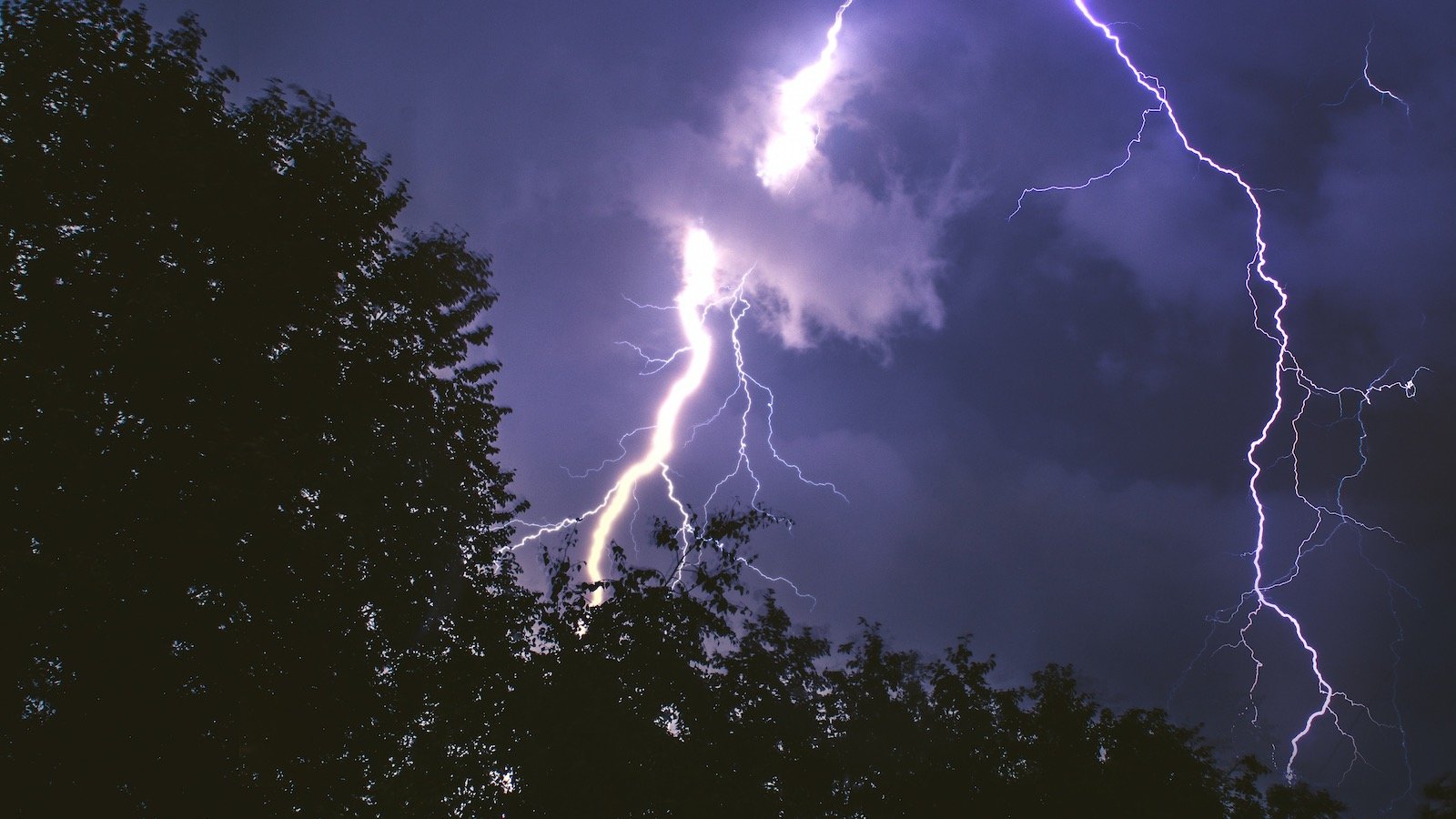 L’éclair le plus long: 768 km
