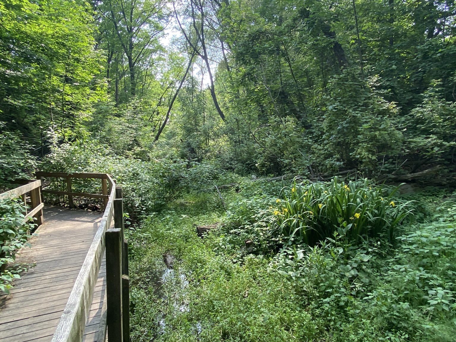 Les petits recoins enchantés du quartier East Danforth