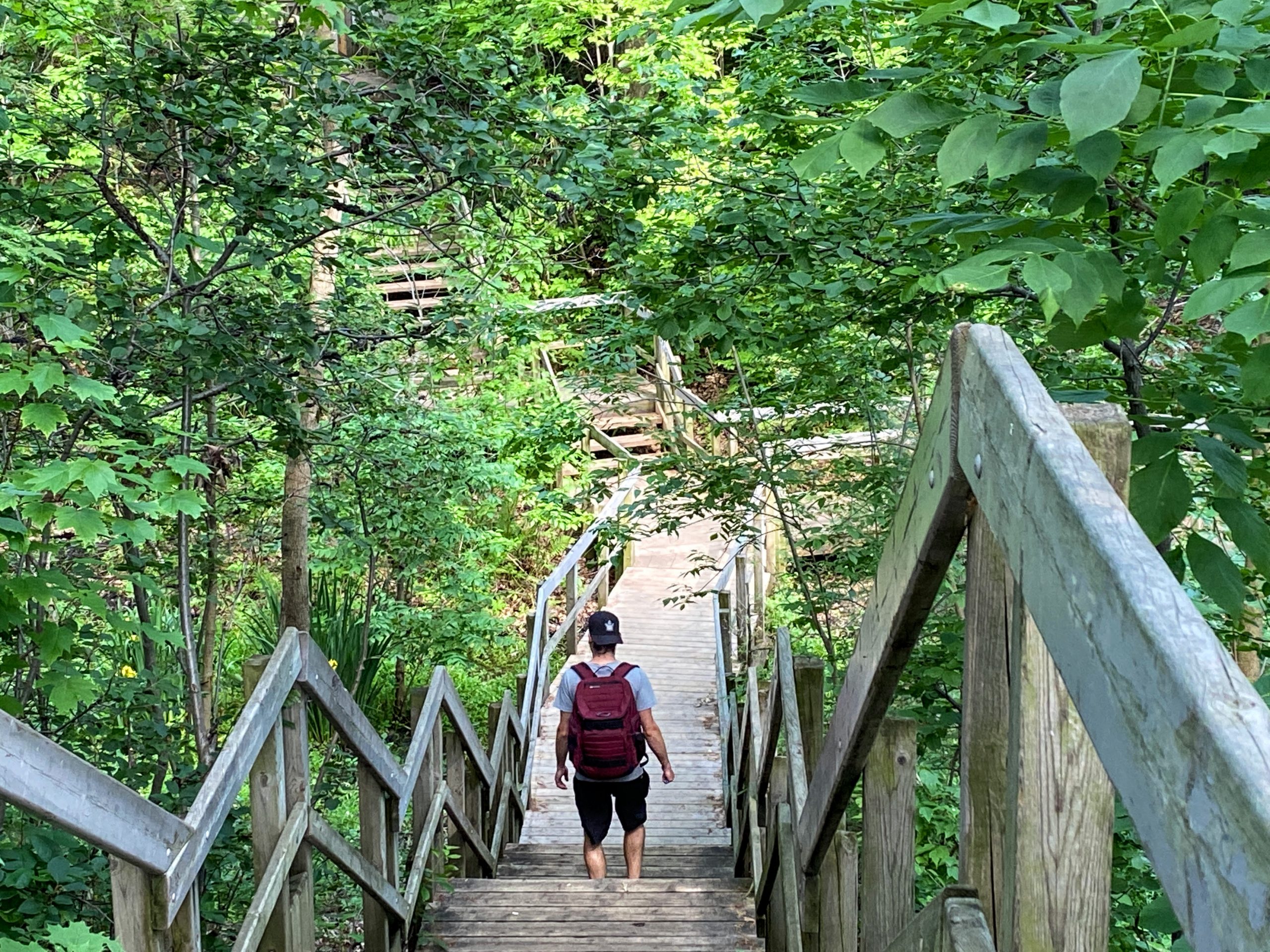 Les petits recoins enchantés du quartier East Danforth