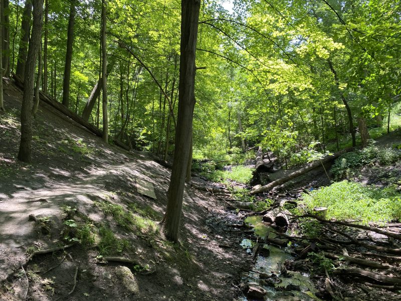 Le ravin caché et le lac disparu des Upper Beaches