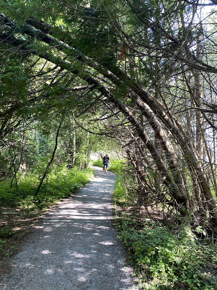 À la découverte du bord de l’eau de Port Hope: sentier, plage, marais...