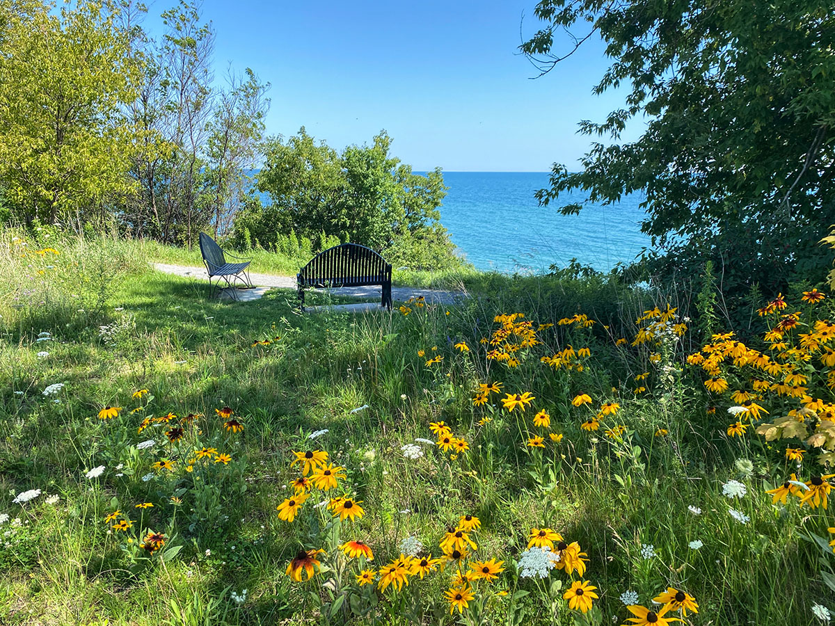 À la découverte du bord de l’eau de Port Hope: sentier, plage, marais...