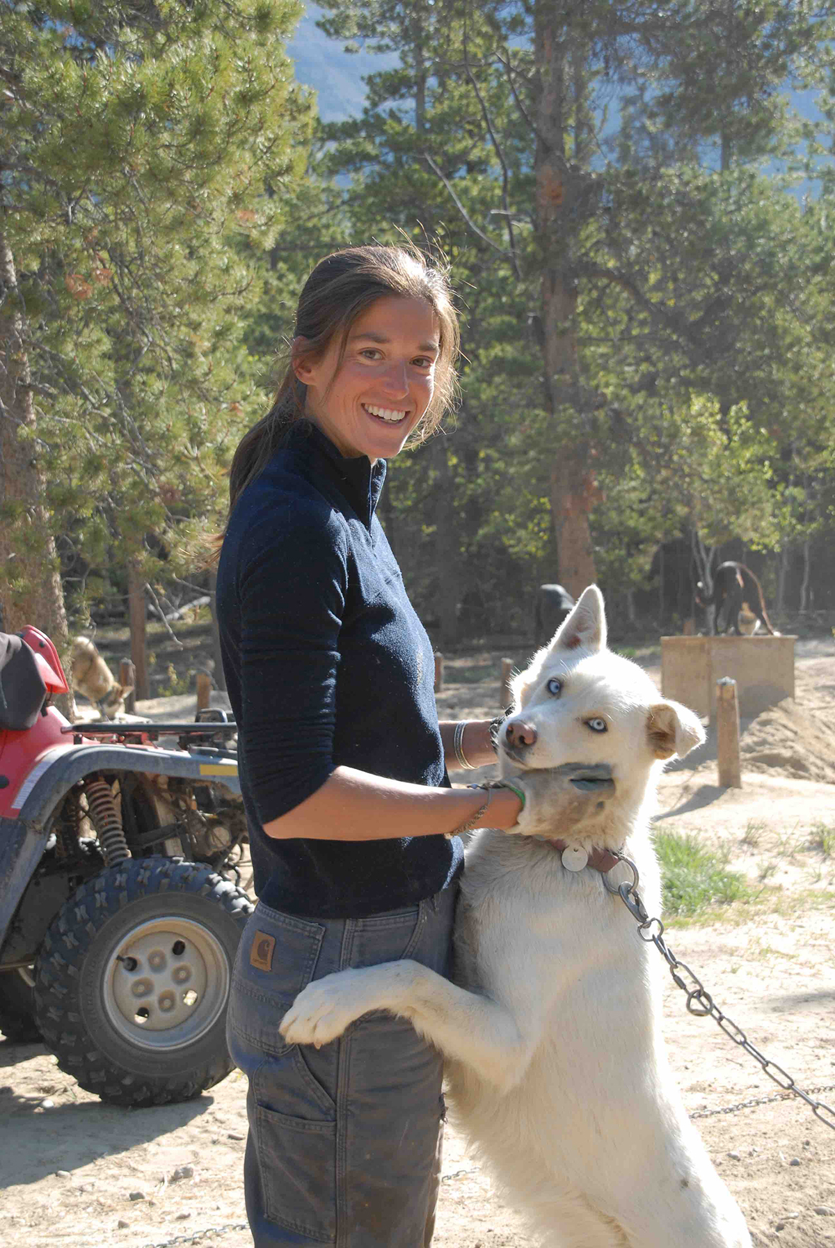 Aventures boréales : un récit au rythme des courses de traîneaux à chiens