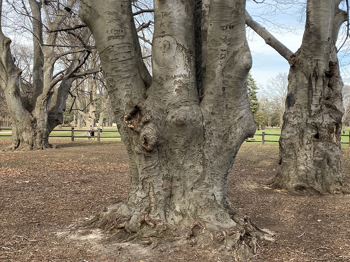 TOP-10 suggestions pour votre visite à Hamilton