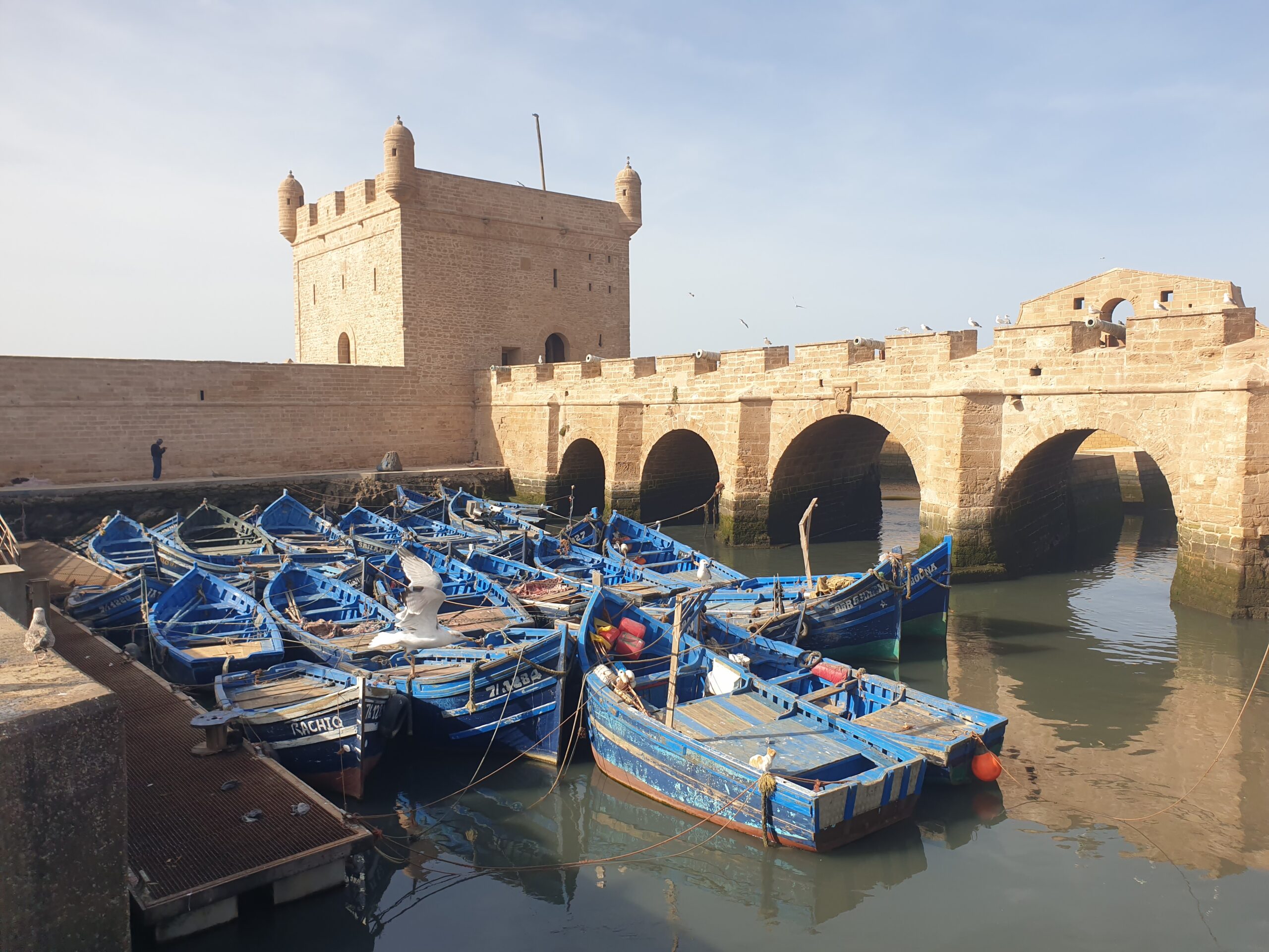 Essaouira, la belle Marocaine alanguie