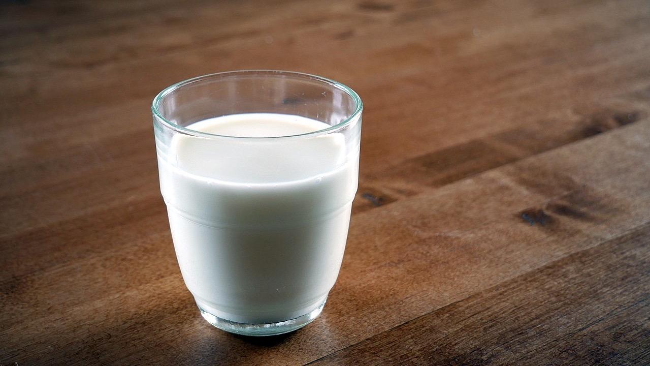 Le lait A2 plus facile à digérer? Et quoi d’autres?