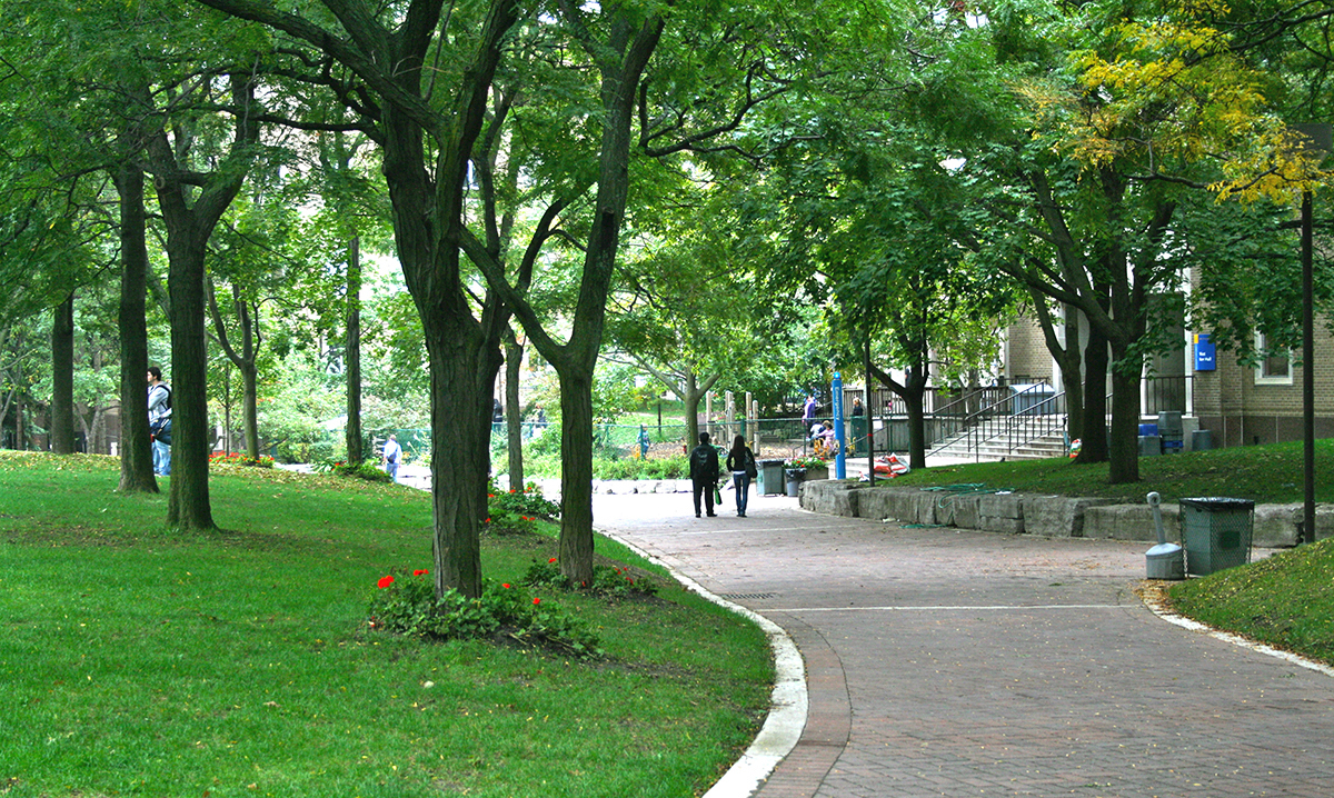 Trésors cachés autour de la rue Gould