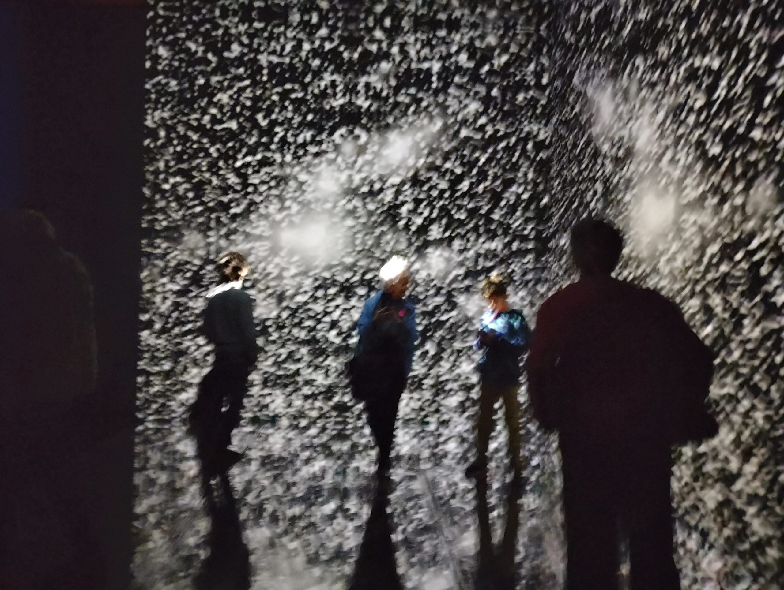 Au Musée Aga Khan, la lumière est à l'honneur